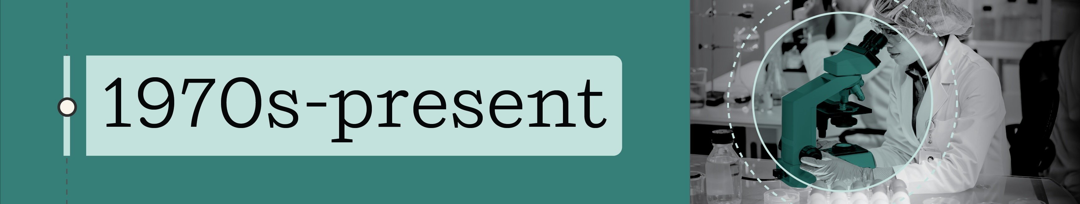 Food Safety Regulations: A Brief History of the FDA and Beyond